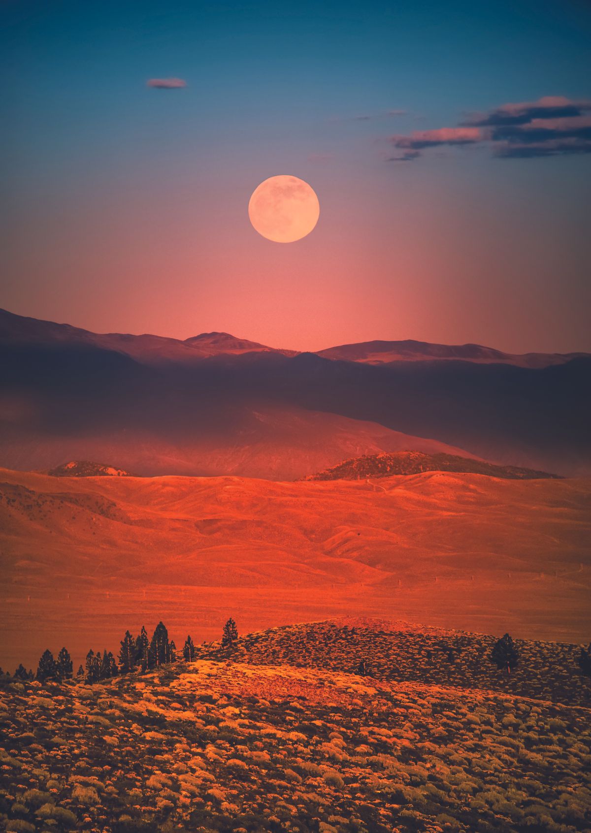 Learn how to unlock stunning natural colors in your photos | Digital ...