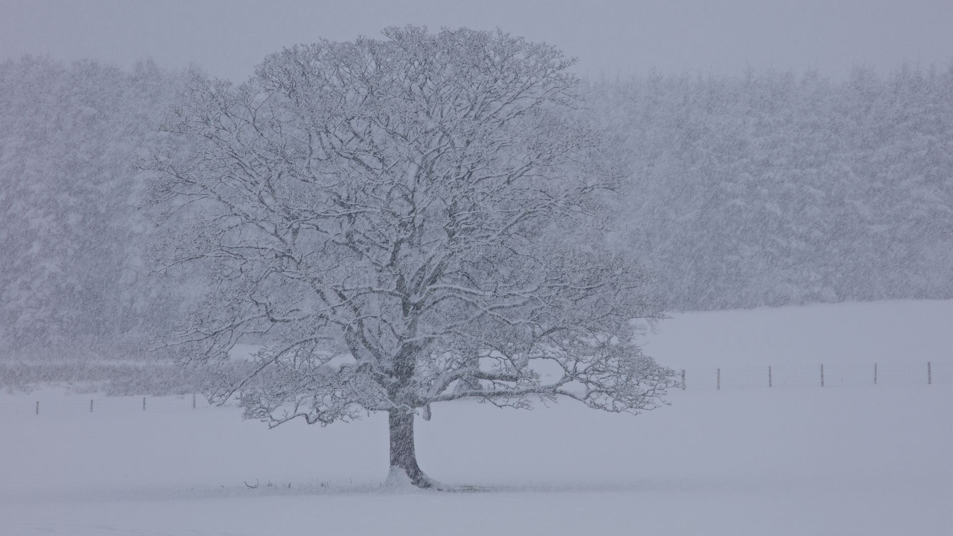 When is it going to snow in the UK? Latest weather forecast | Woman & Home