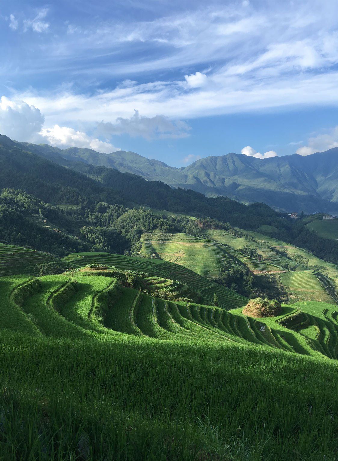 Check out these iPhone 6s and 6s Plus camera samples | iMore