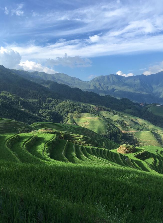 Check out these iPhone 6s and 6s Plus camera samples | iMore