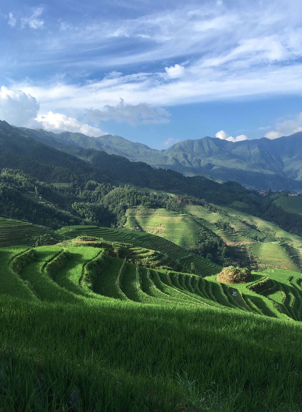 Check out these iPhone 6s and 6s Plus camera samples | iMore