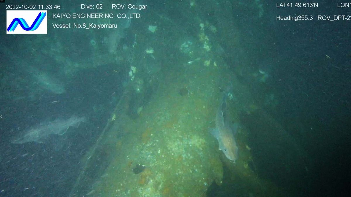 Wreck of long-lost US World War II submarine found off Japanese coast ... Wreck of long-lost US World War II submarine found off Japanese coast ...