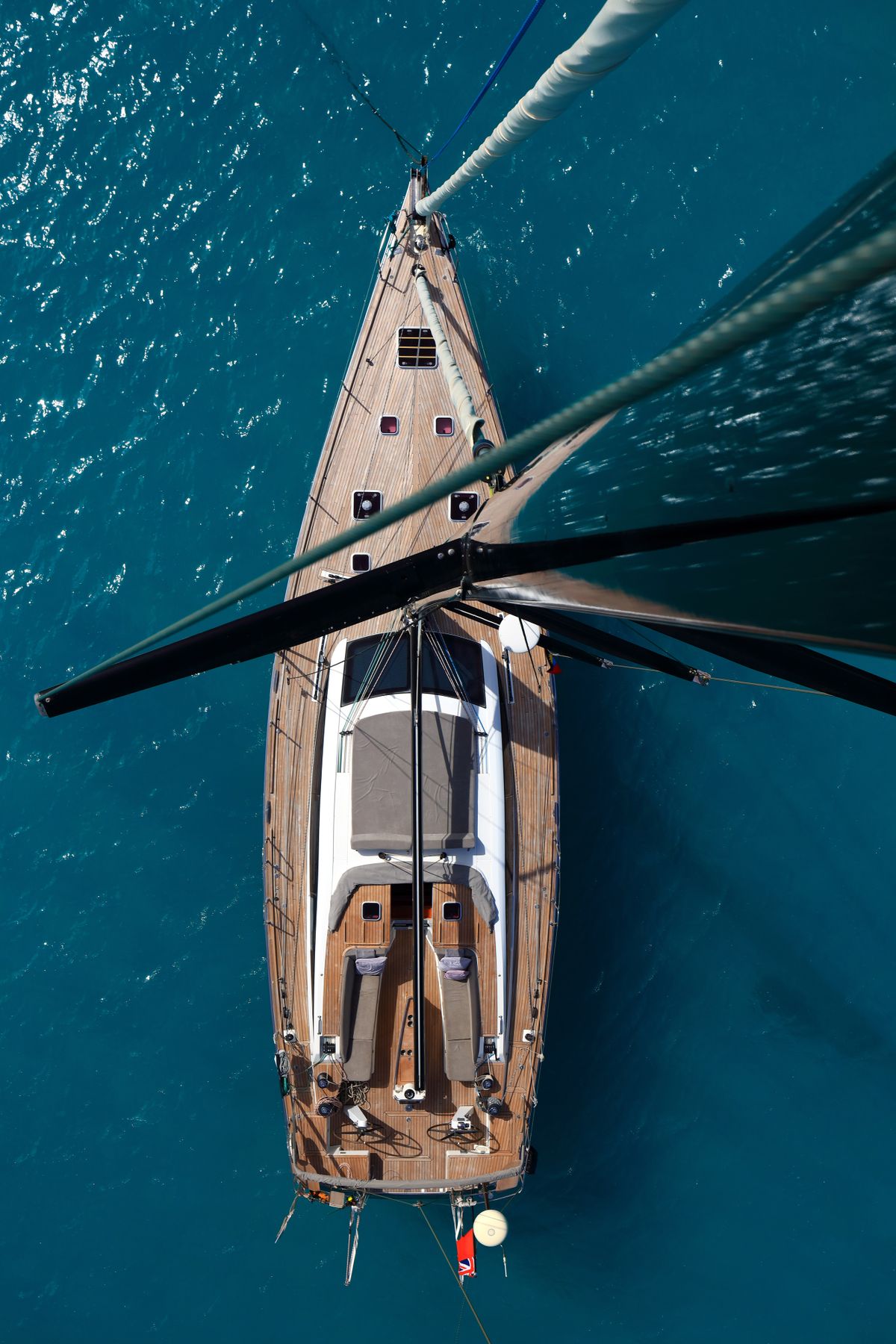 Five quick questions with pro wildlife photographer David Newton ...