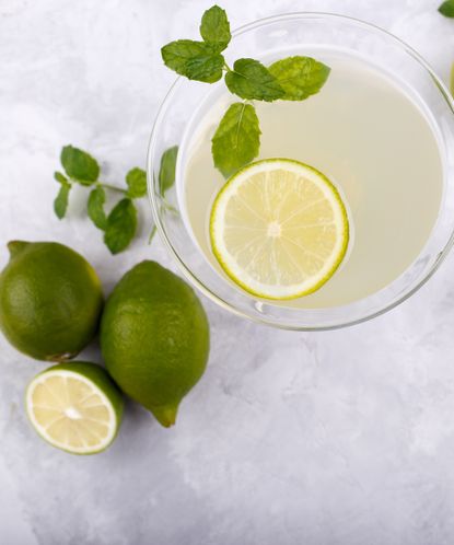 What kills maggots? Simple, instant solutions to manage maggots | Homes ...