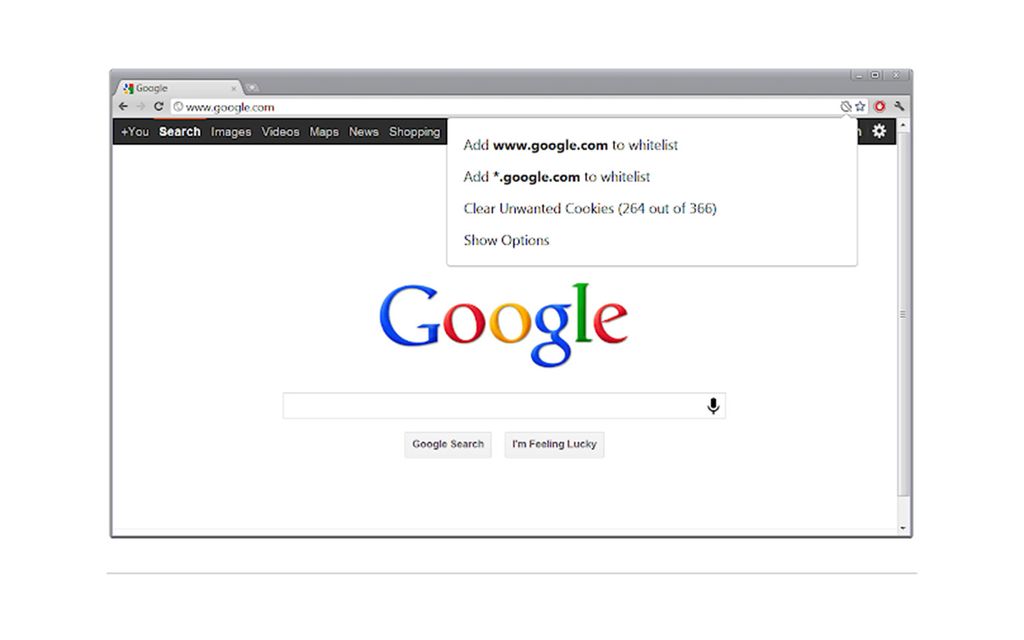 15 Best Google Chrome Privacy Extensions | Tom's Guide