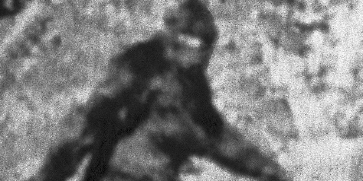 5 Things The Devolution Movie Adaptation Of Max Brooks' Book Needs To ...