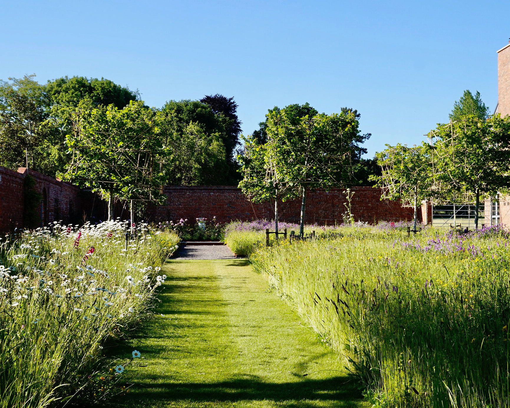 How to plant a wildflower meadow: in gardens of all sizes | Homes and ...
