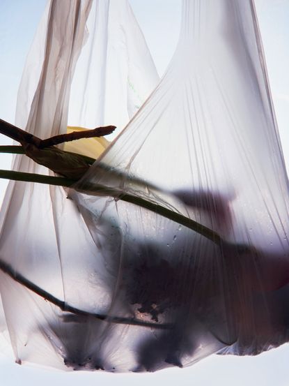 Through the lens of Benjamin Vigliotta | Wallpaper*