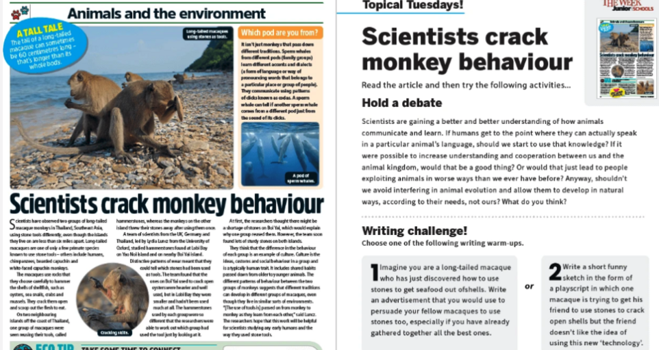 Topical Tuesdays – Monkey Behaviour | The Week Junior