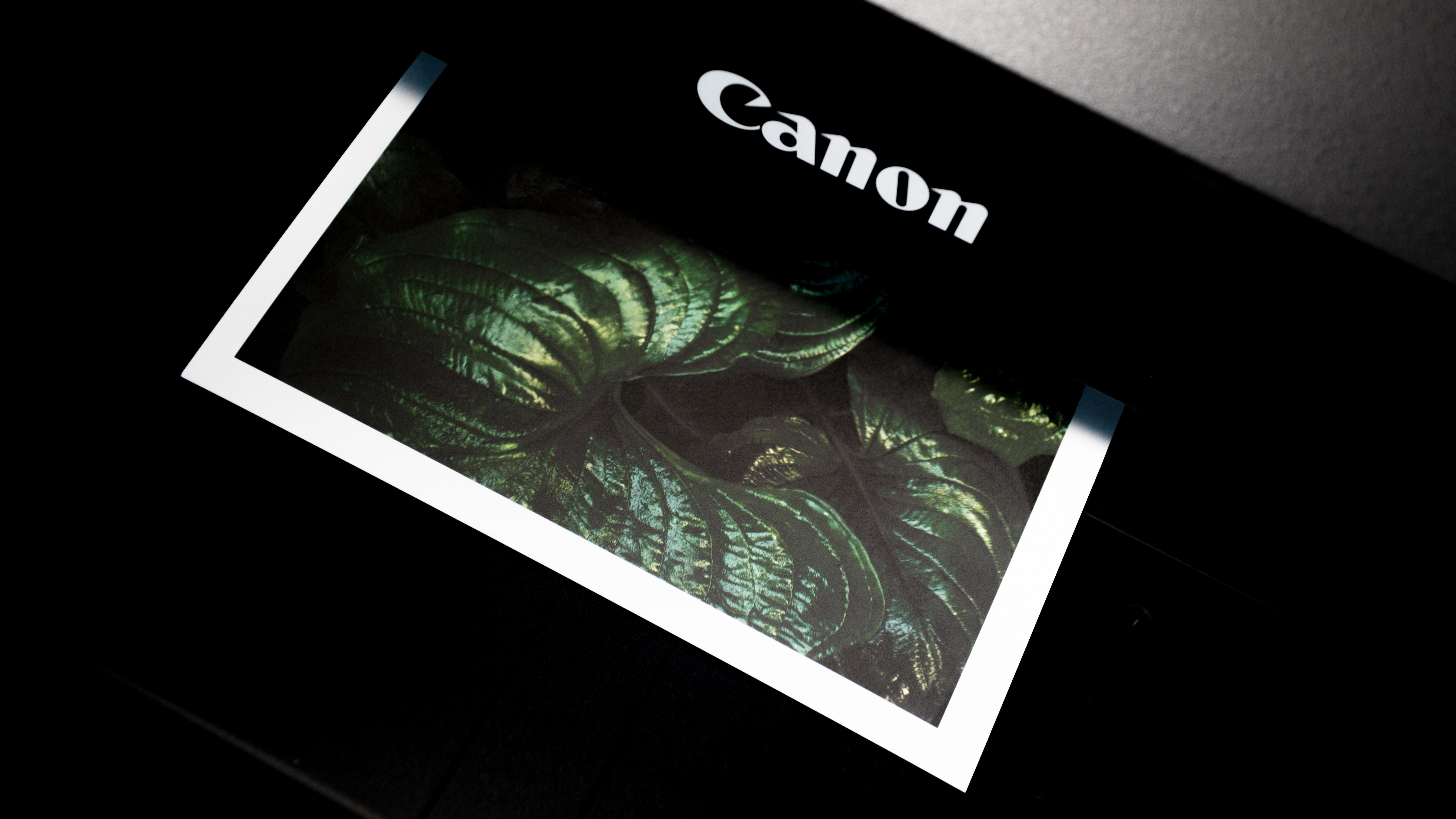 A creative's guide to different types of printing | Creative Bloq