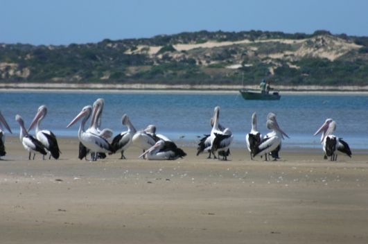 Gallery: First Red List of Endangered Ecosystems | Live Science