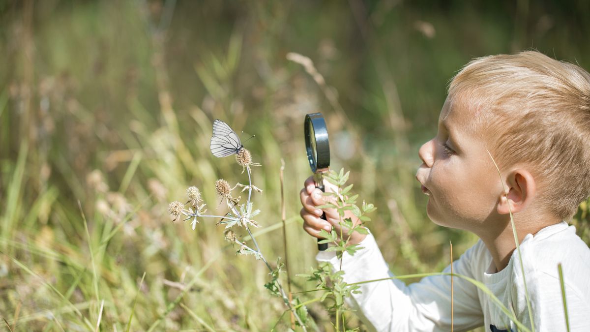 How to watch wildlife and appreciate the natural world | Advnture