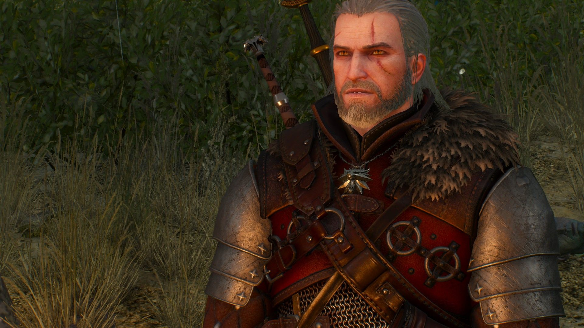 The Witcher 3 Ursine armor: How to get all Bear School gear | PC Gamer