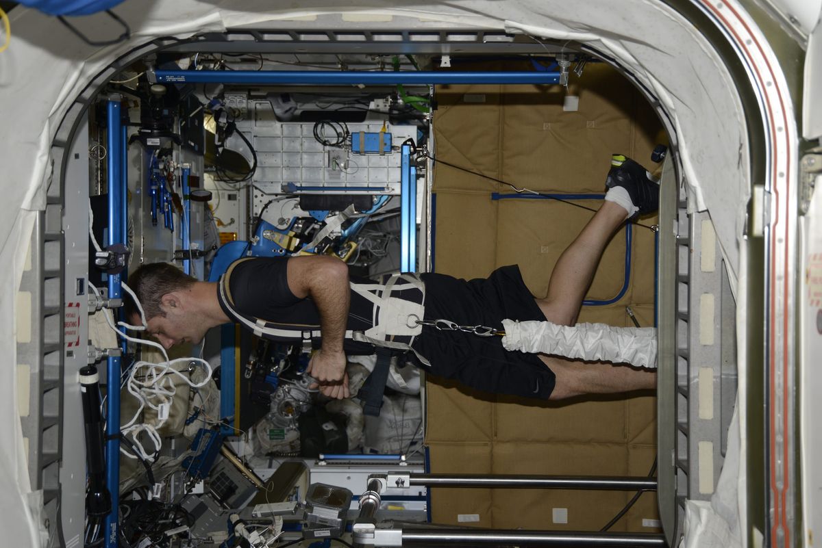 Space Station Photos: Expedition 50 Astronauts in Action: Page 12 | Space