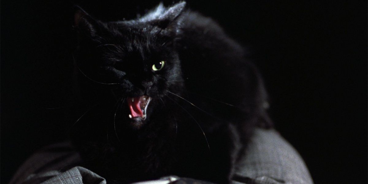 Adapting Stephen King's The Cat From Hell: 1990’s Tales From The ...