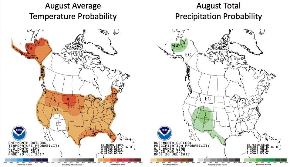 The Weather Forecast for August, September and October? Hot! | Live Science