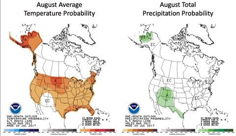 The Weather Forecast for August, September and October? Hot! | Live Science