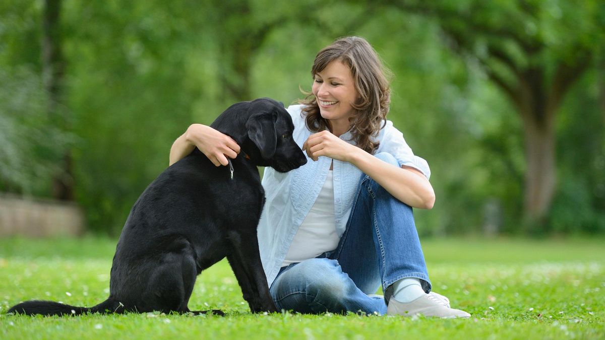 20 most loyal dog breeds revealed | PetsRadar