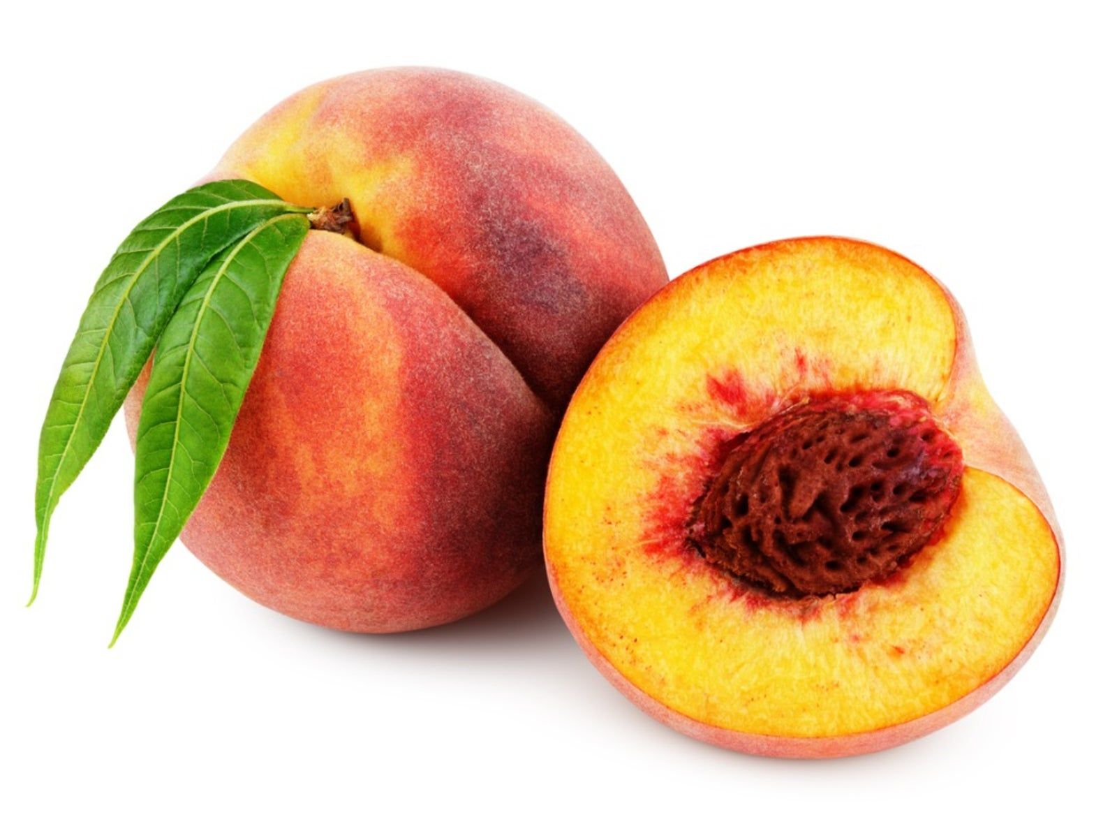 Plant A Peach Pit: Growing Peaches From Seed | Gardening Know How