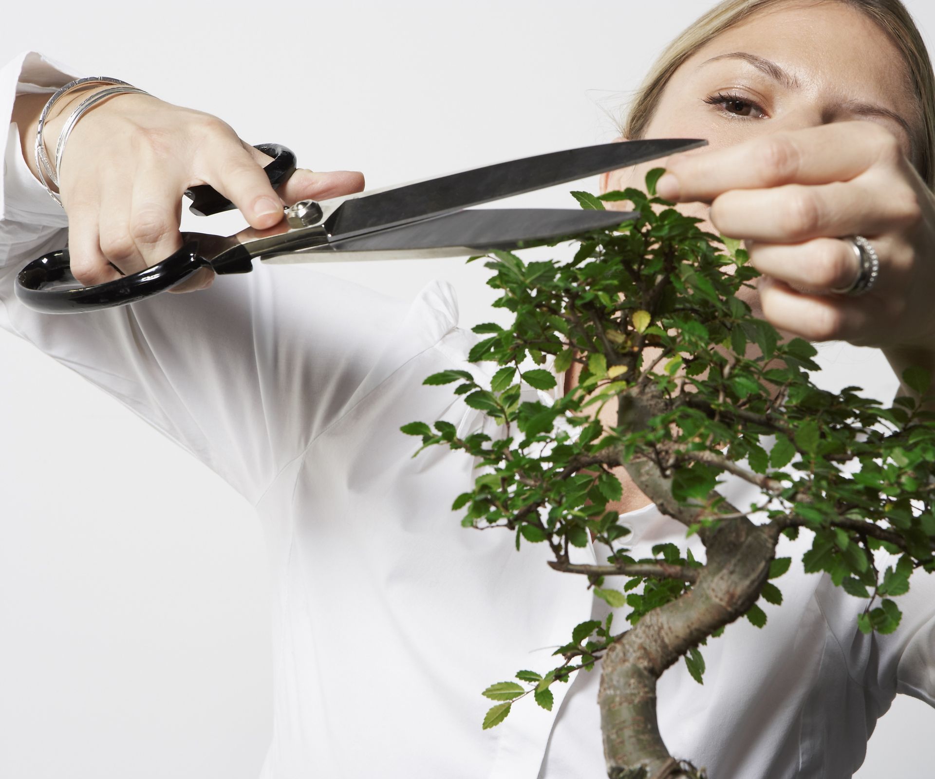 How to care for a bonsai tree: expert tips for growing | Homes and Gardens