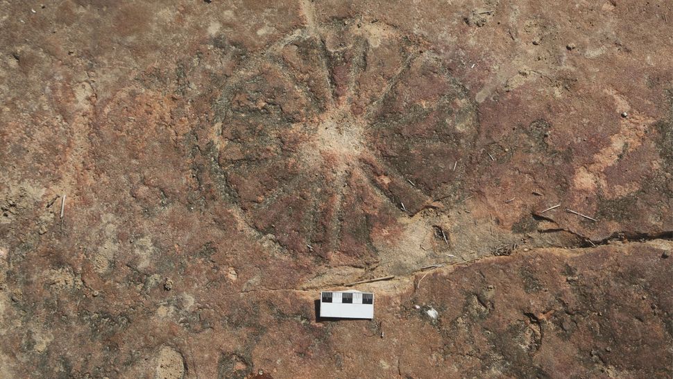 9,000-year-old rock art discovered among dinosaur footprints in Brazil ...
