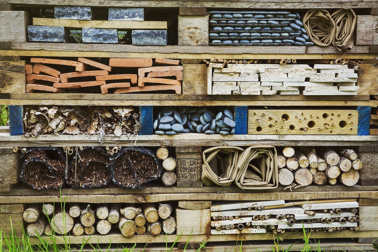 How to make a bug hotel: to attract pollinators | Homes and Gardens