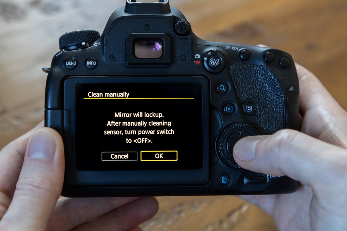 Spring clean your Canon camera with these top tips to eliminate dust ...