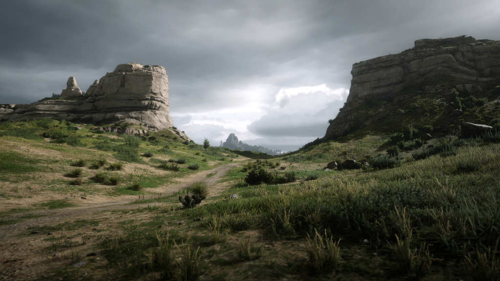 How to get the most out of the Red Dead Redemption 2 photo mode | PC Gamer