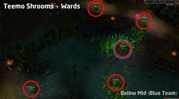 How to ward the map in League of Legends with Teemo: Page 2 - Page 2 ...