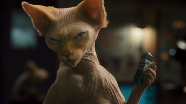 50 greatest movie cats | GamesRadar+