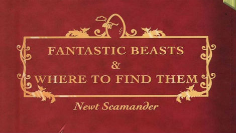Fantastic Beasts & Where To Find Them: The Complete Guide | GamesRadar+