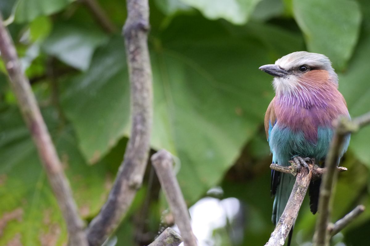 Sample images - Panasonic GH3 review - Page 6 | TechRadar