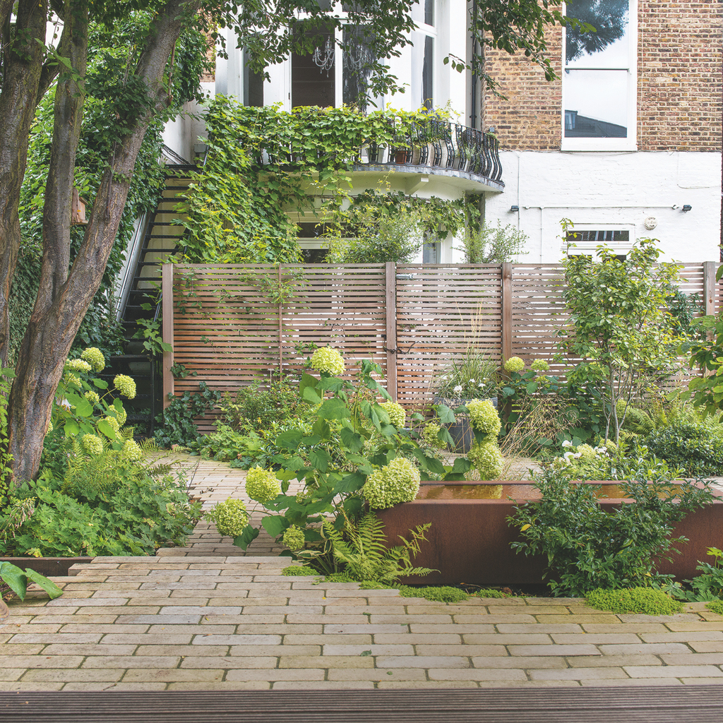 Should you remove ivy from your house? Pros and cons | Ideal Home