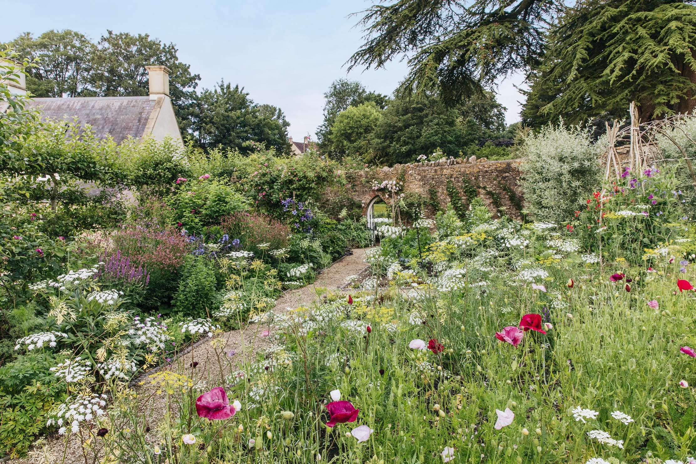 Batcombe House: The 'essential Somerset garden' with a gloriously wild ...