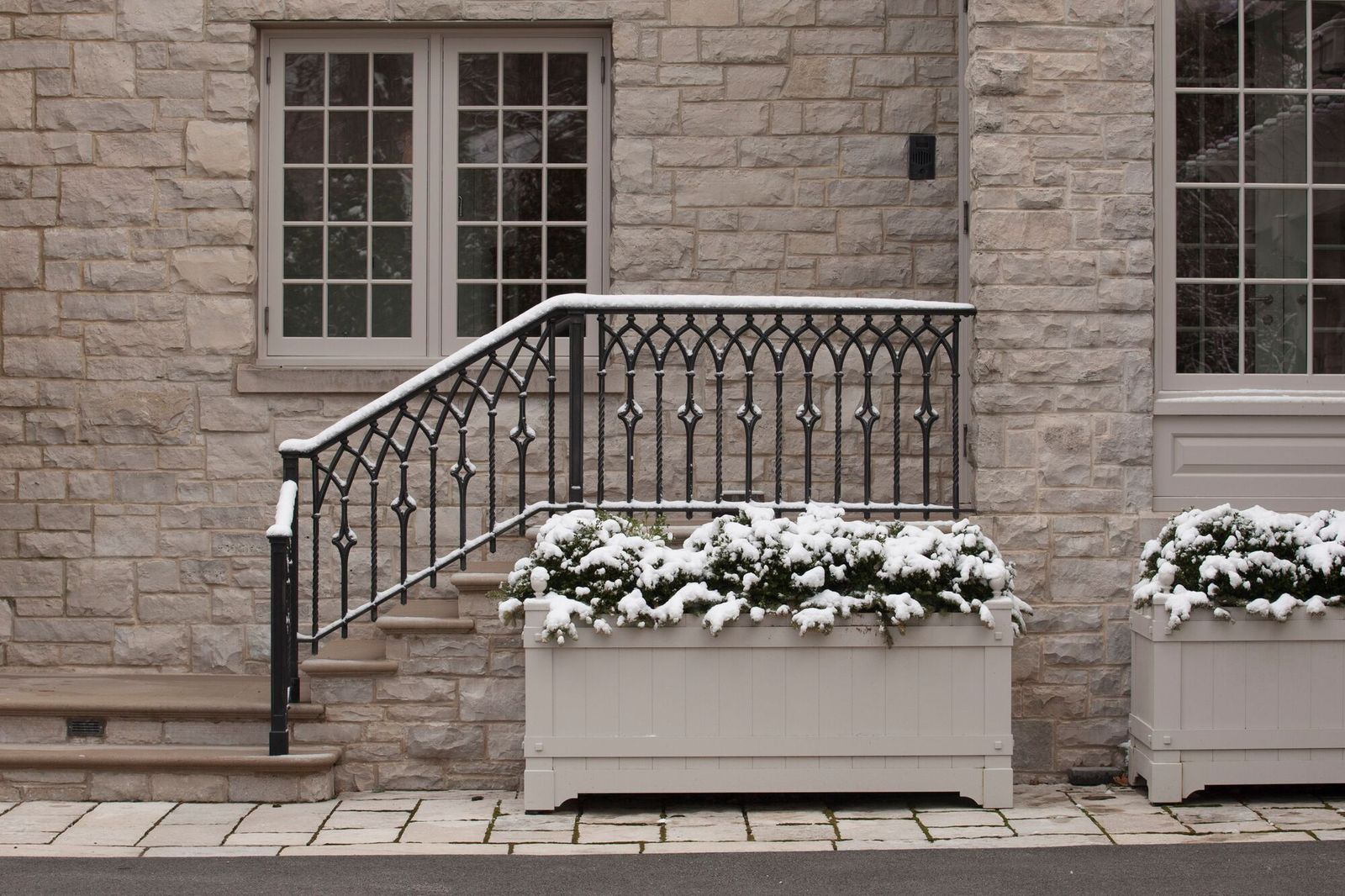 How to Revive Frost-Damaged Plants — 3 Simple Ways | Livingetc