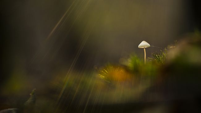 How to always get exposure right – exposure settings explained ...