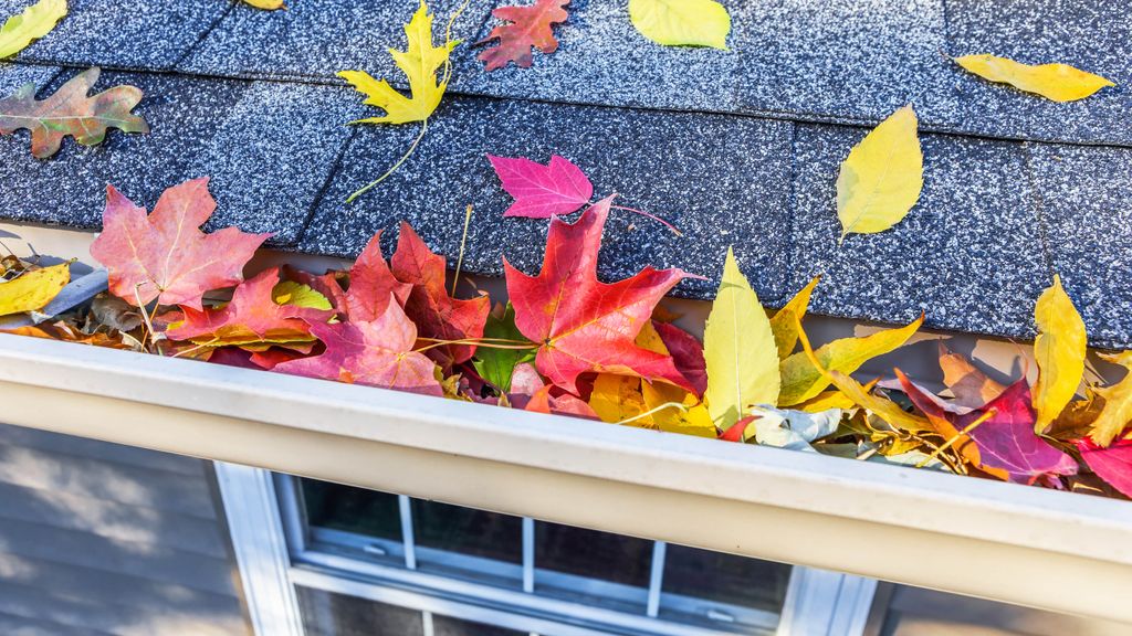 How to clean gutters in 9 steps — and when to do it | Tom's Guide