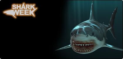 What is Shark Week? | GamesRadar+