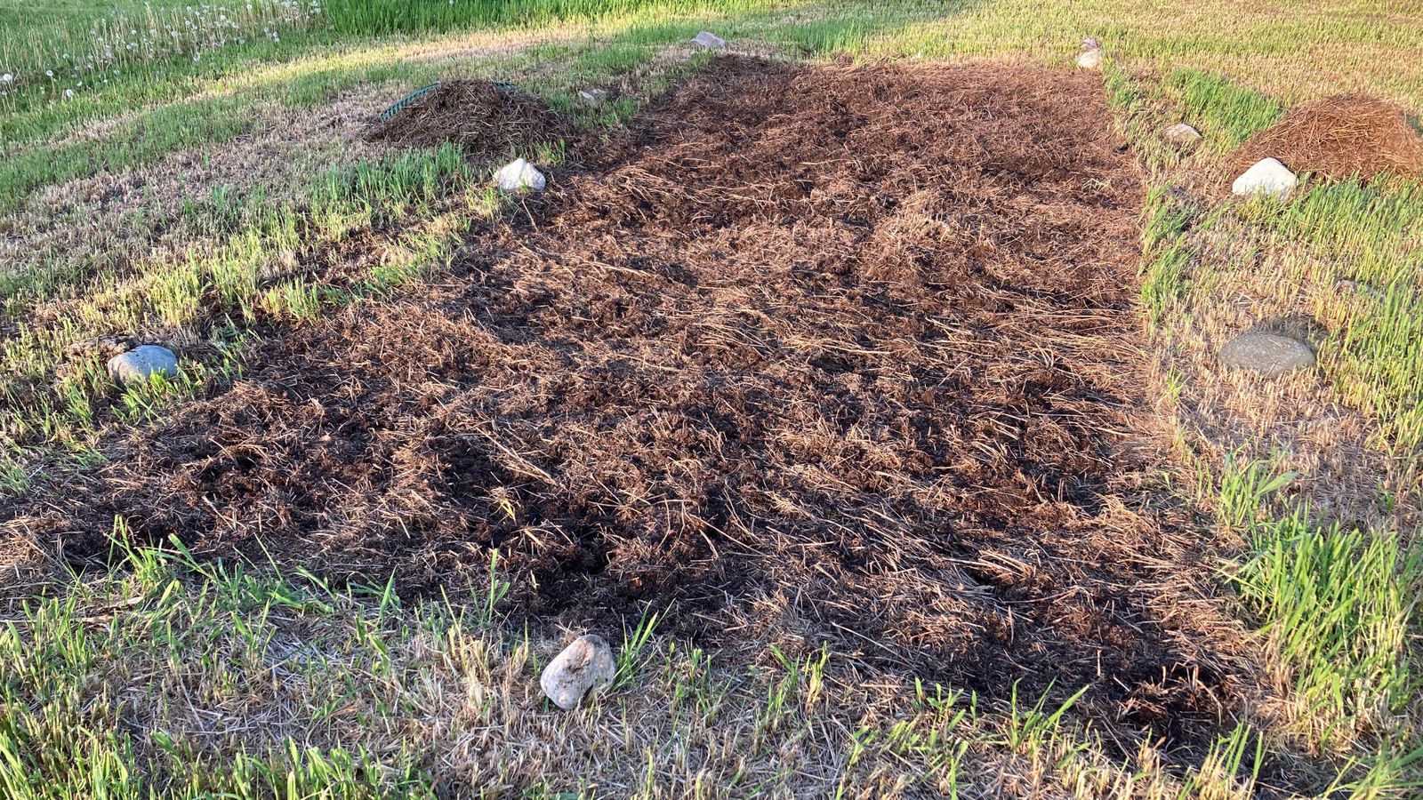 How To Turn An Overgrown Field Into A Garden Full Of Produce ...