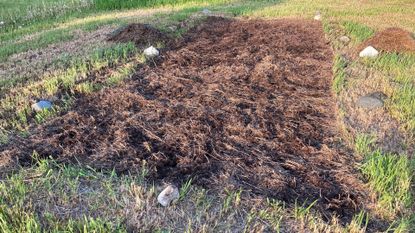 How To Turn An Overgrown Field Into A Garden Full Of Produce ...