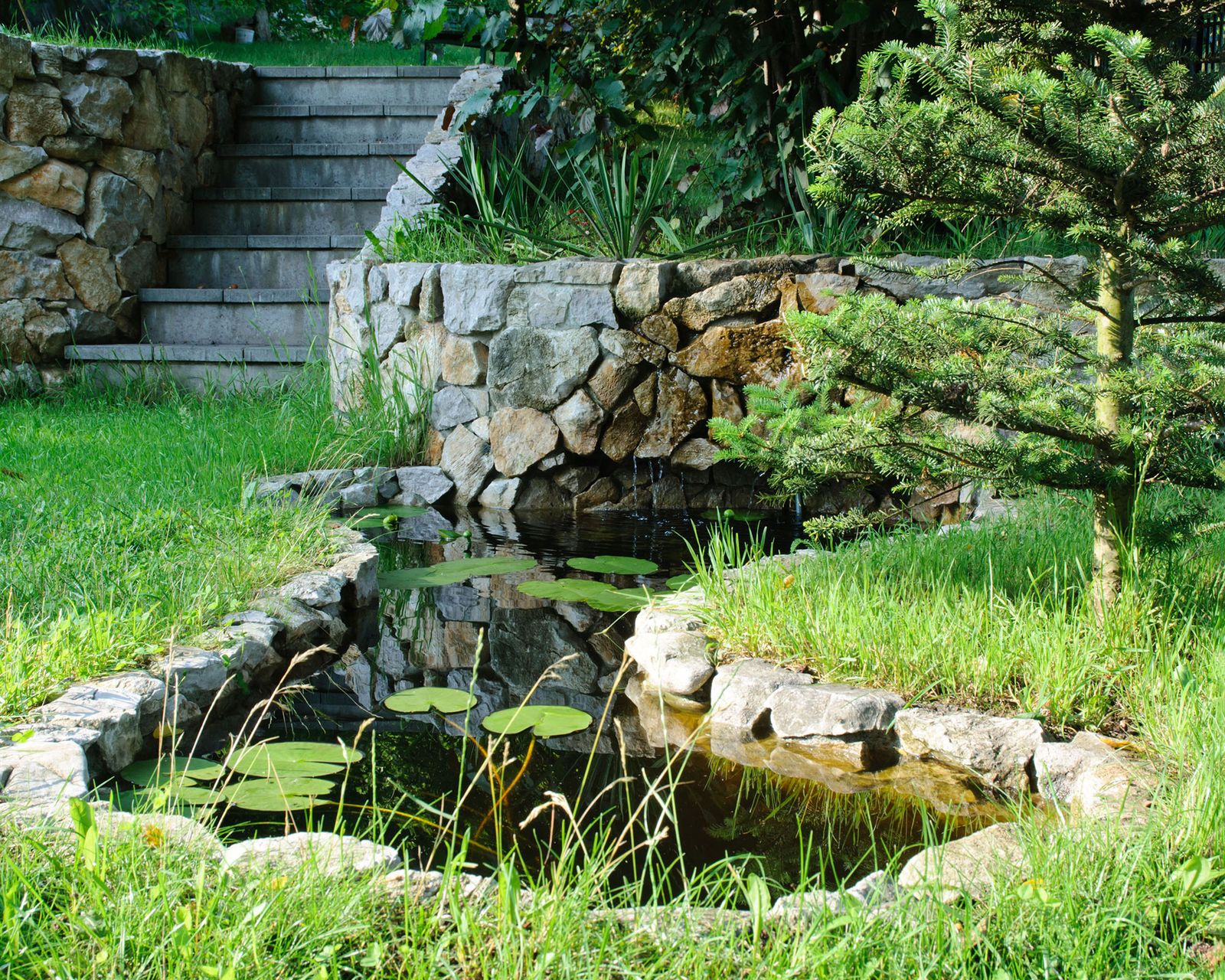 Budget pond ideas: 14 ways to create a stunning feature with water for ...
