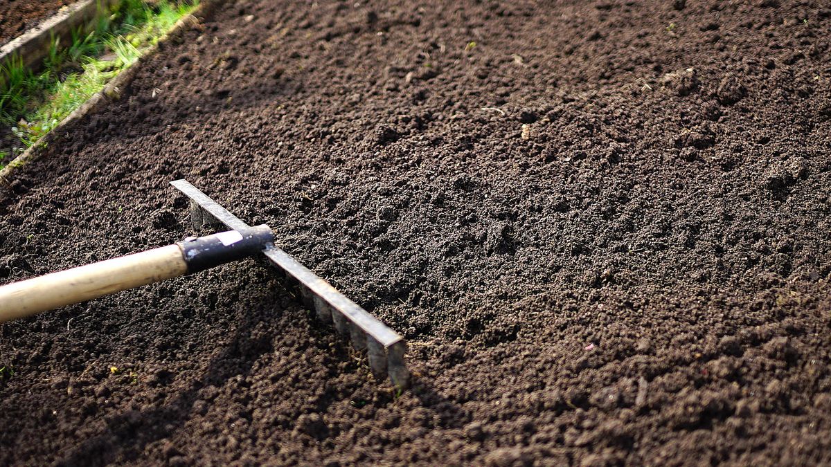 How to lay sod and upgrade your yard | Tom's Guide