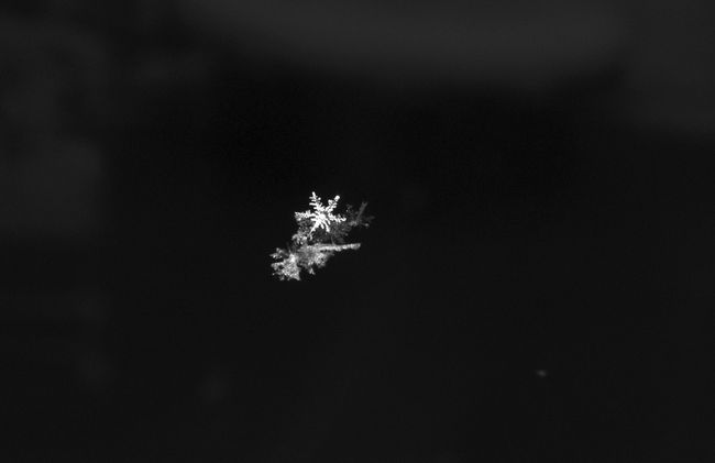 Capturing Falling Snow, One Flake at a Time | Live Science