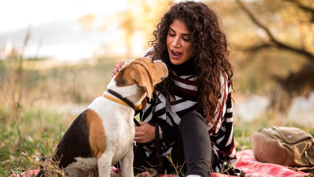 How to show your pet you love them in 32 different ways | PetsRadar