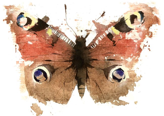 How to paint butterflies | Creative Bloq