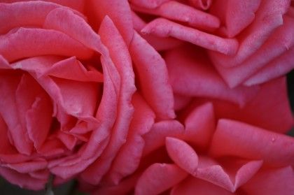 Sample images - Sony QX1 review - Page 7 | TechRadar