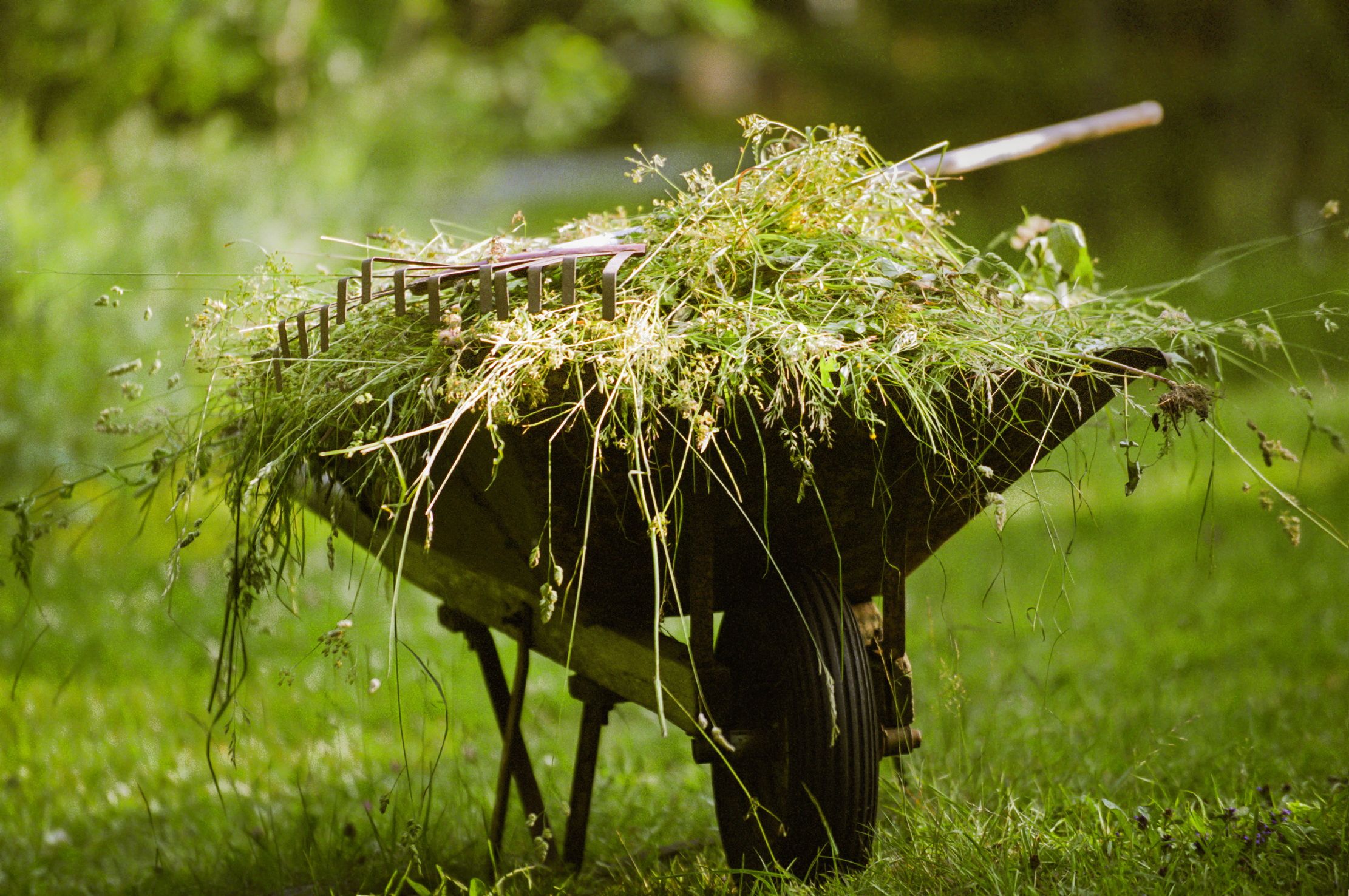 After a long winter, it's time to get out and start preparing for ...