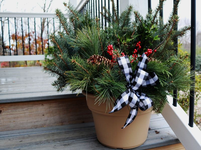 Tips & Information about Gardening Projects | Gardening Know How