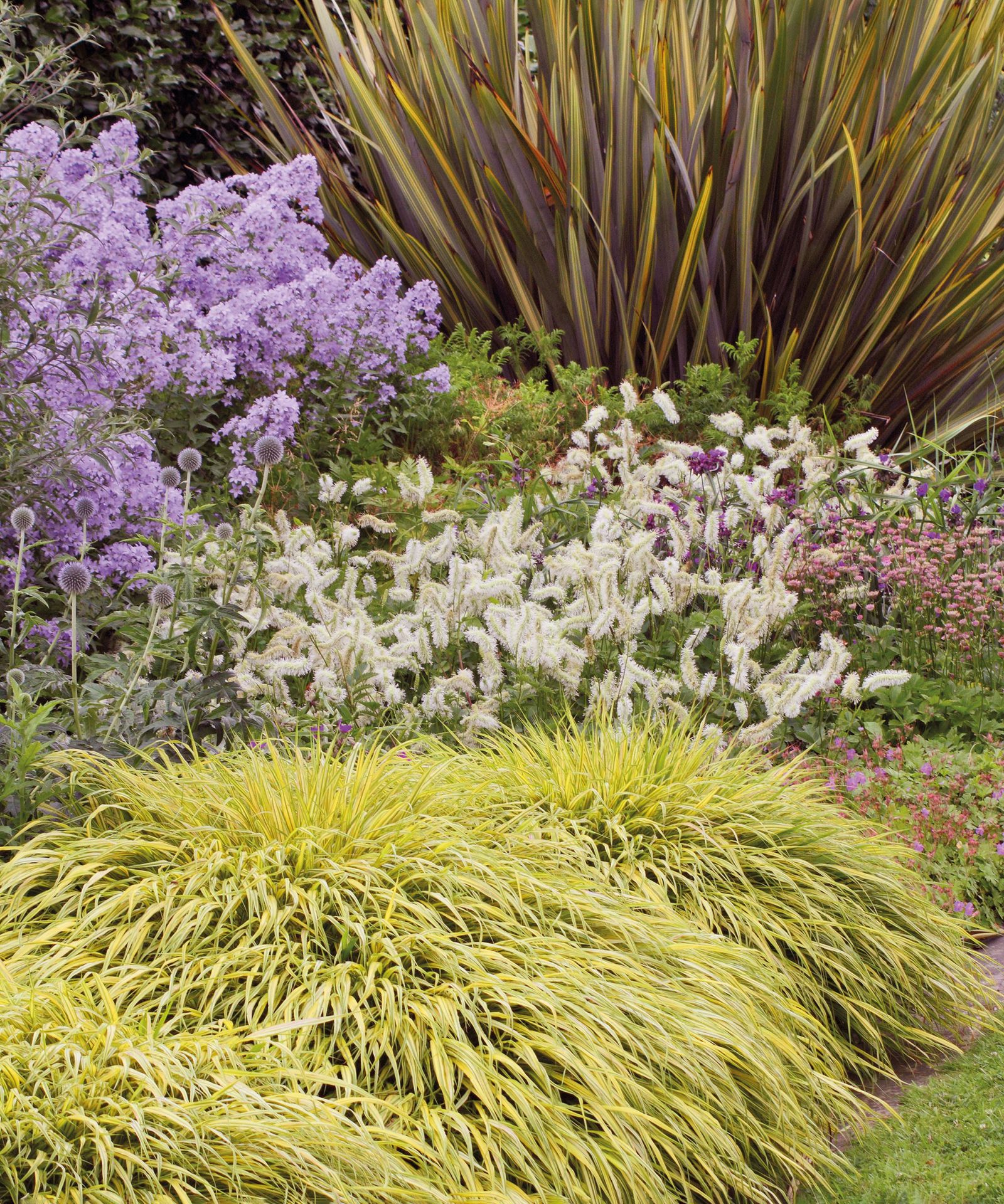 Types of ornamental grass: 16 varieties for borders and pots | Gardeningetc