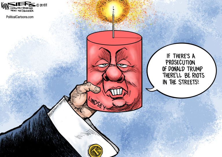 5 scathing cartoons about Lindsey Graham's 'rioting in the streets ...